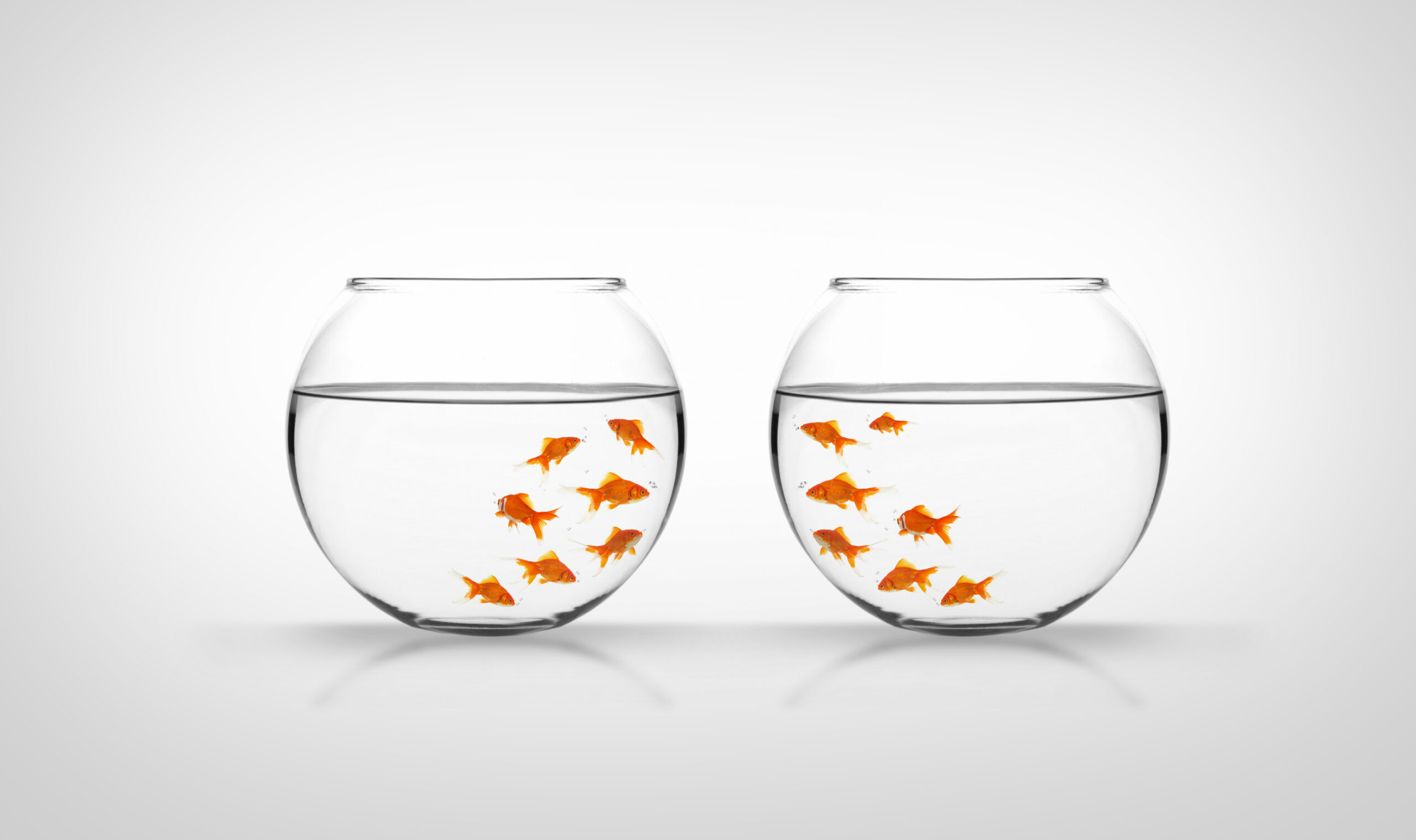 Why managers should use inherent biases to make better decisions ...