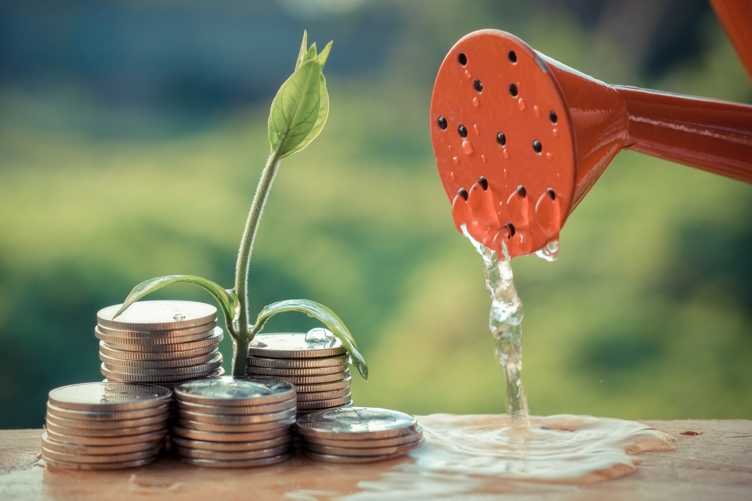 What Is Pre seed Funding Growth Business
